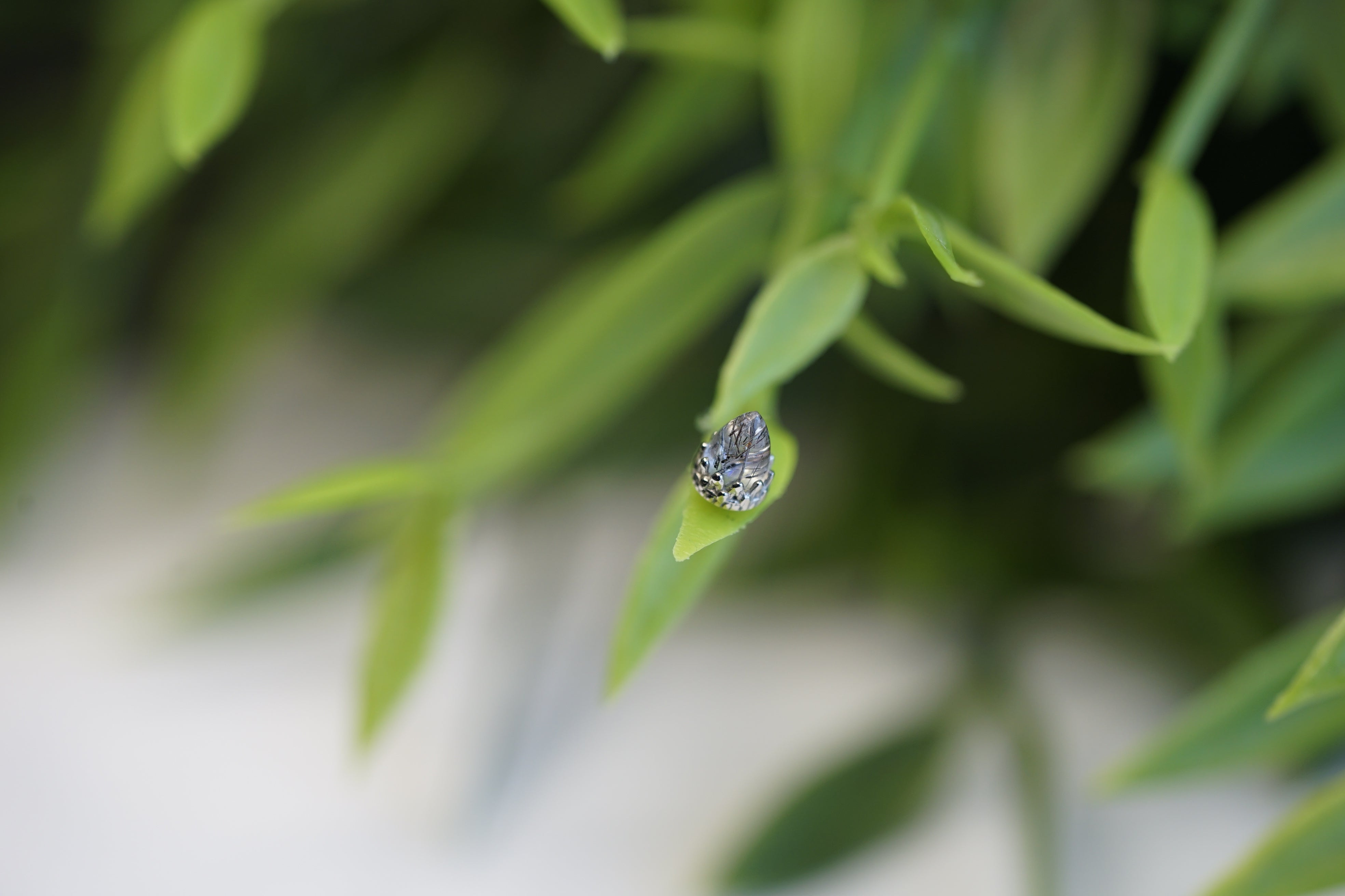 Anatometal 3mm Bullet Ends (King) | Tacoma's Best Piercing